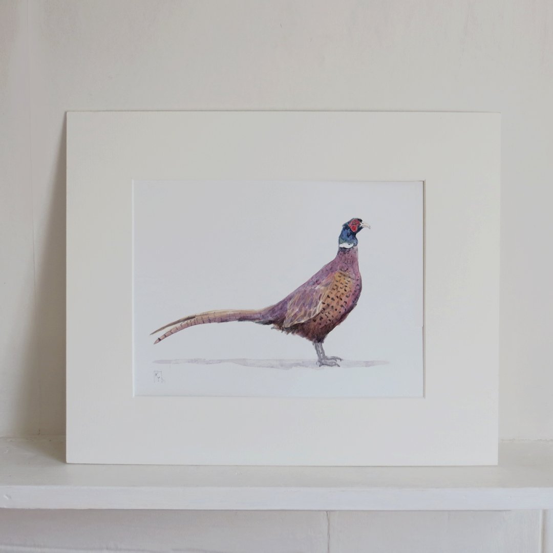 Pheasant/ British Wildlife Watercolour Painting - KATHERINE TYRER ...